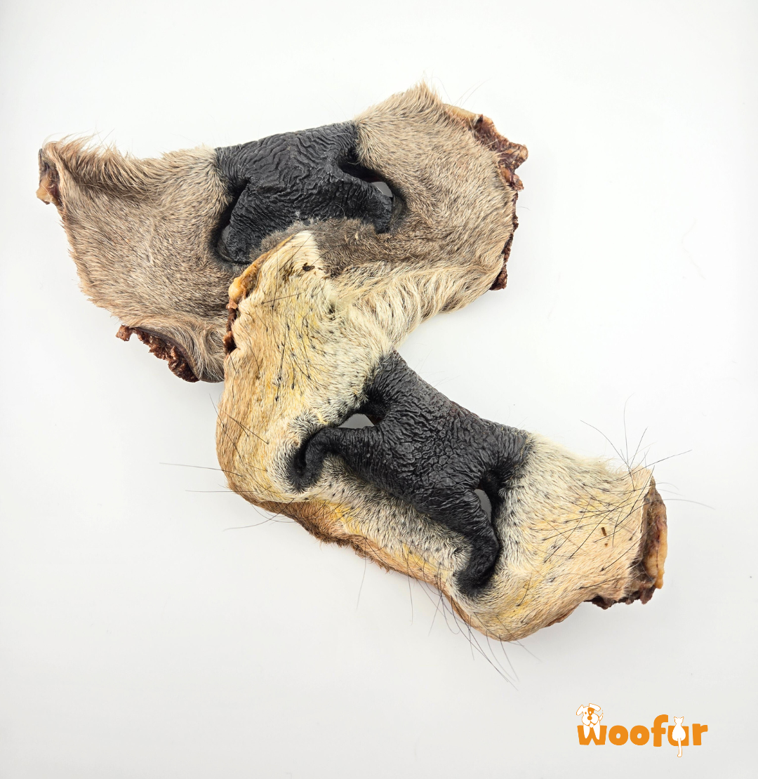 Woofur - Cow Snouts – Woofur Natural Pet Products